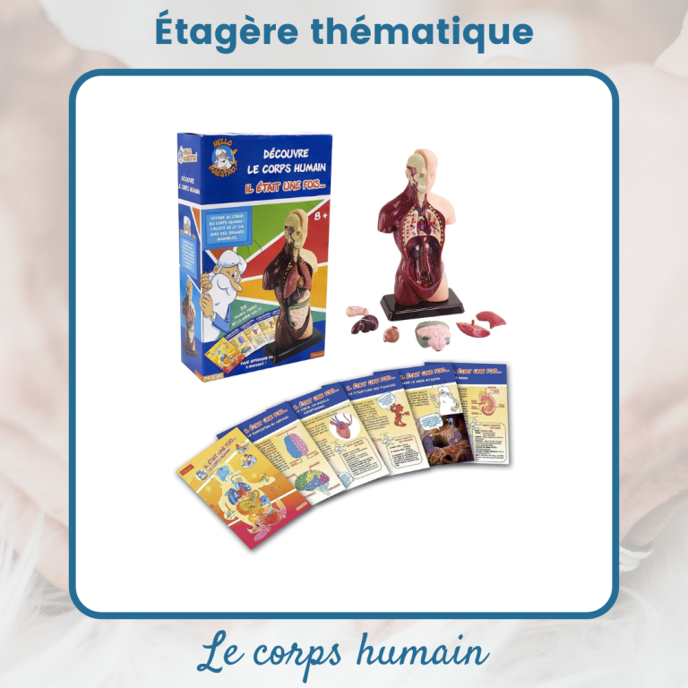 étagère Thématique Le Corps Humain Lud Y Key